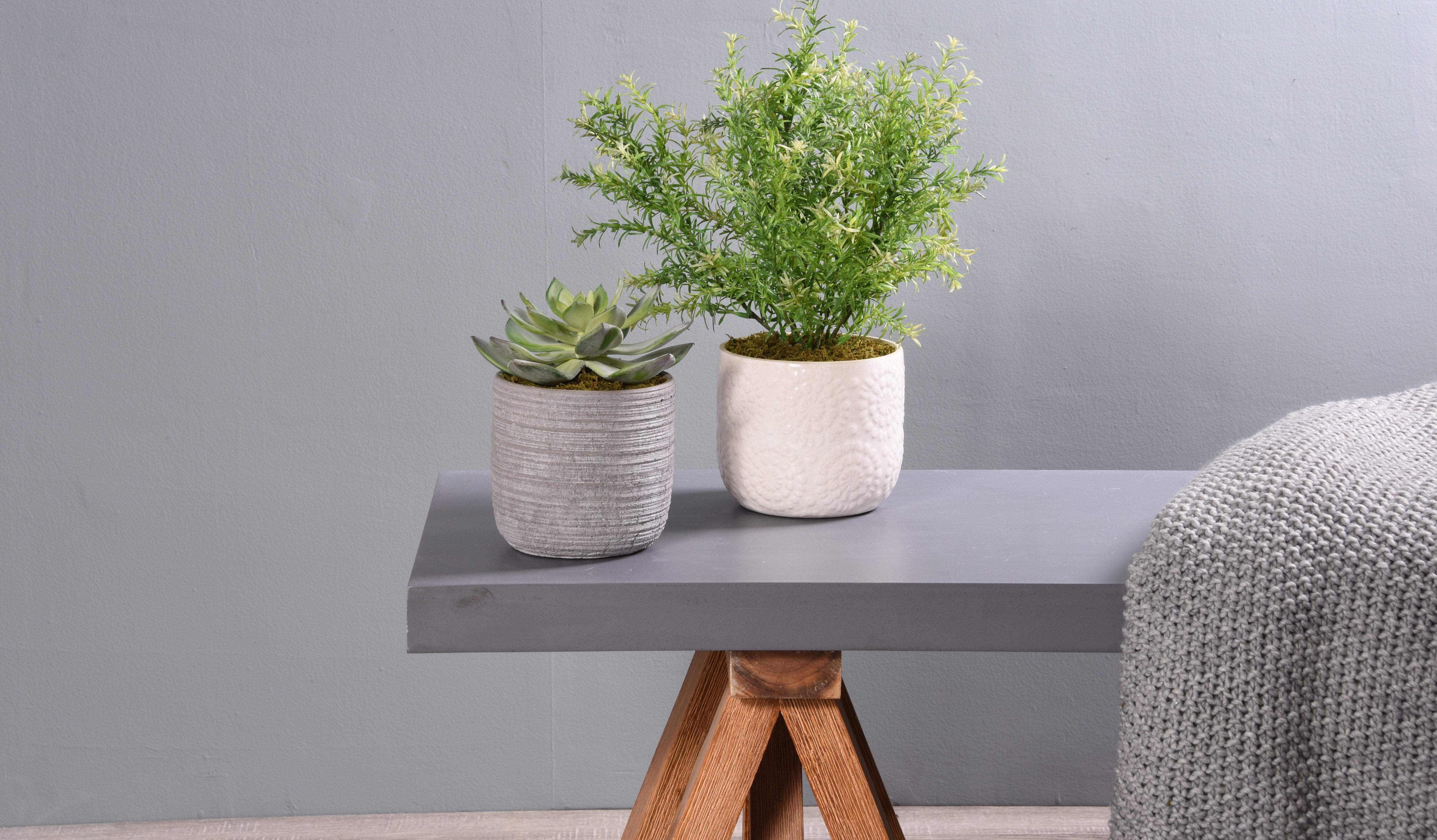 Minis – Bloomr-Saudi