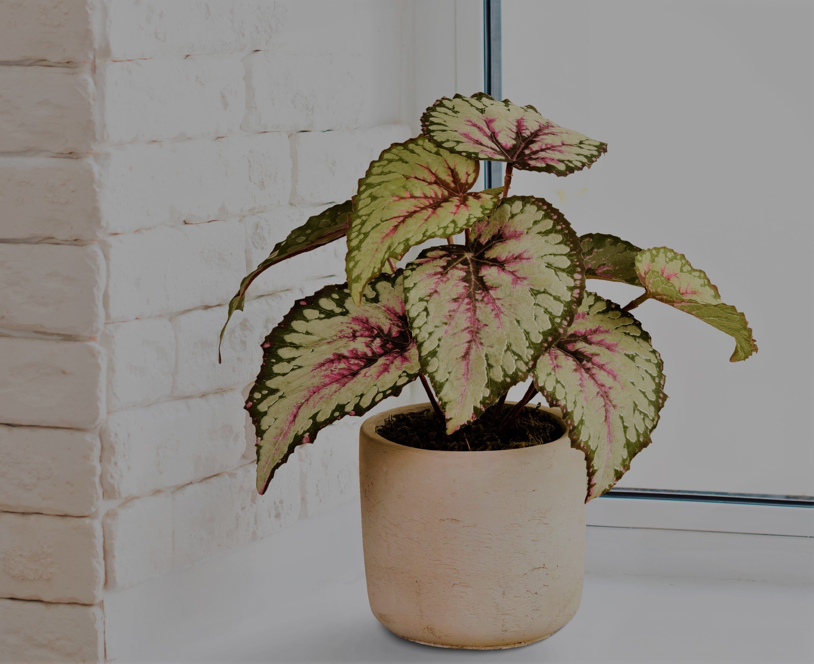 Luxury Artificial Green Plants – Bloomr-Saudi