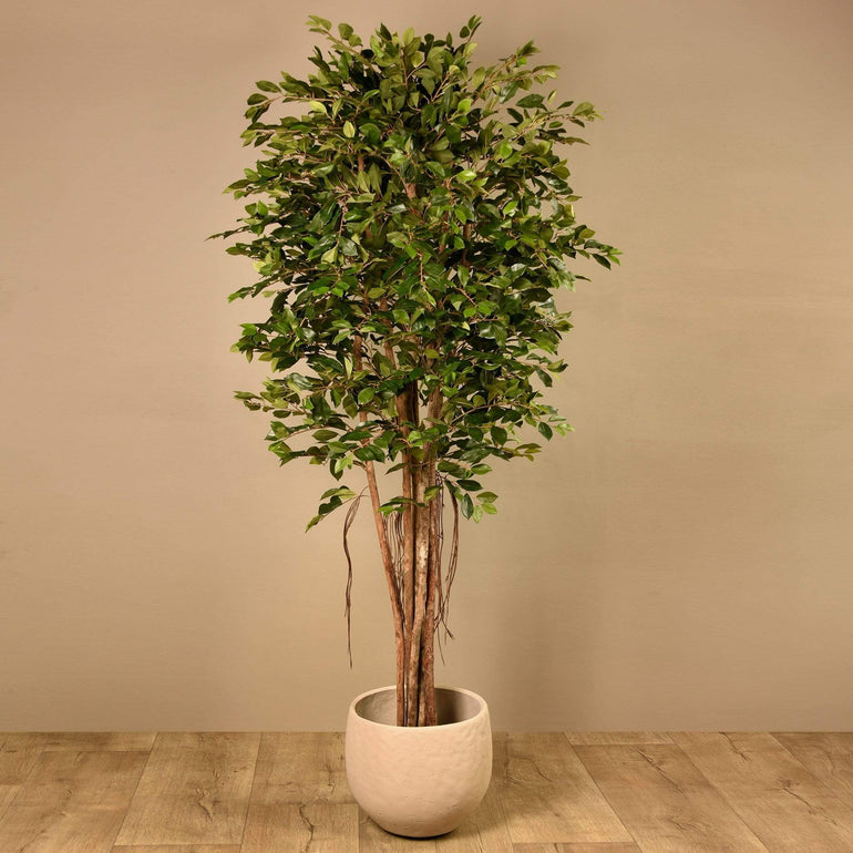 Artificial Trees & Plants – Bloomr-Saudi