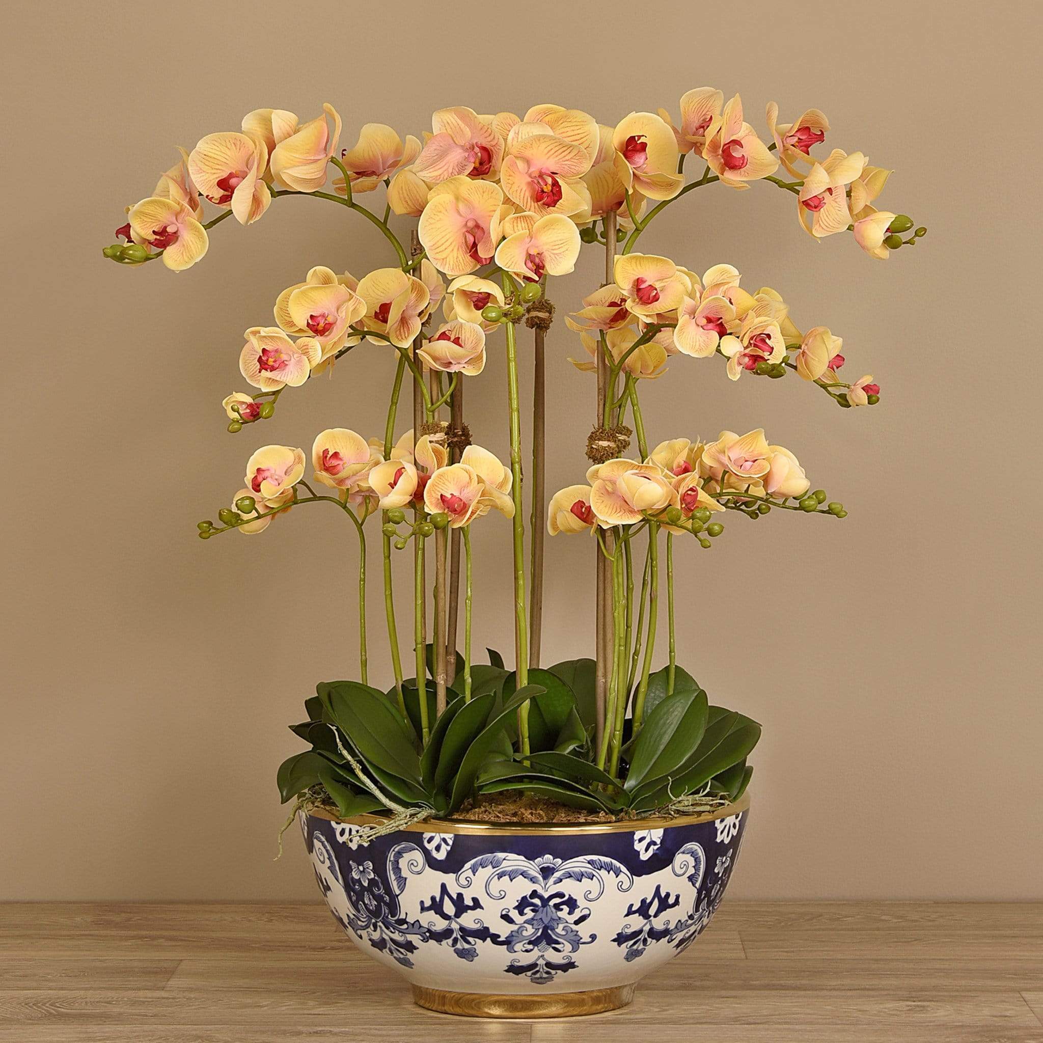 Orchid Arrangement in Ceramic Vase – Bloomr-Saudi